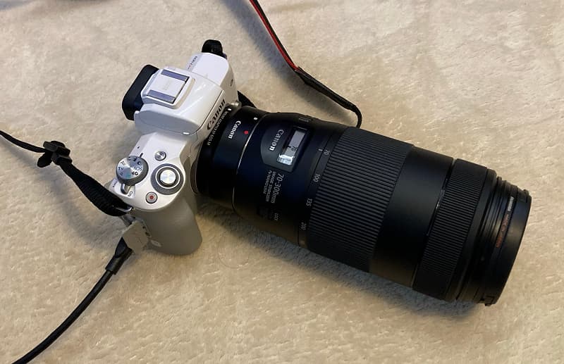 EOS KISS M/M2の写真や動画をテレビに映してみた | アラサライフ -Arasalife-