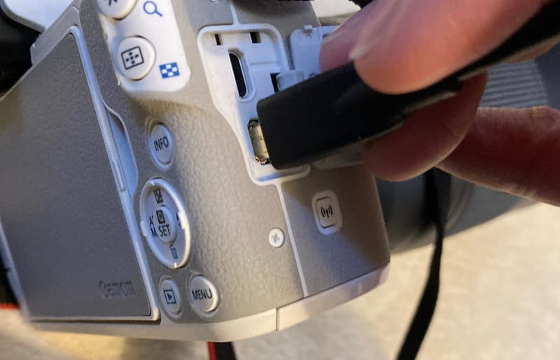 EOS KISS M/M2の写真や動画をテレビに映してみた | アラサライフ -Arasalife-